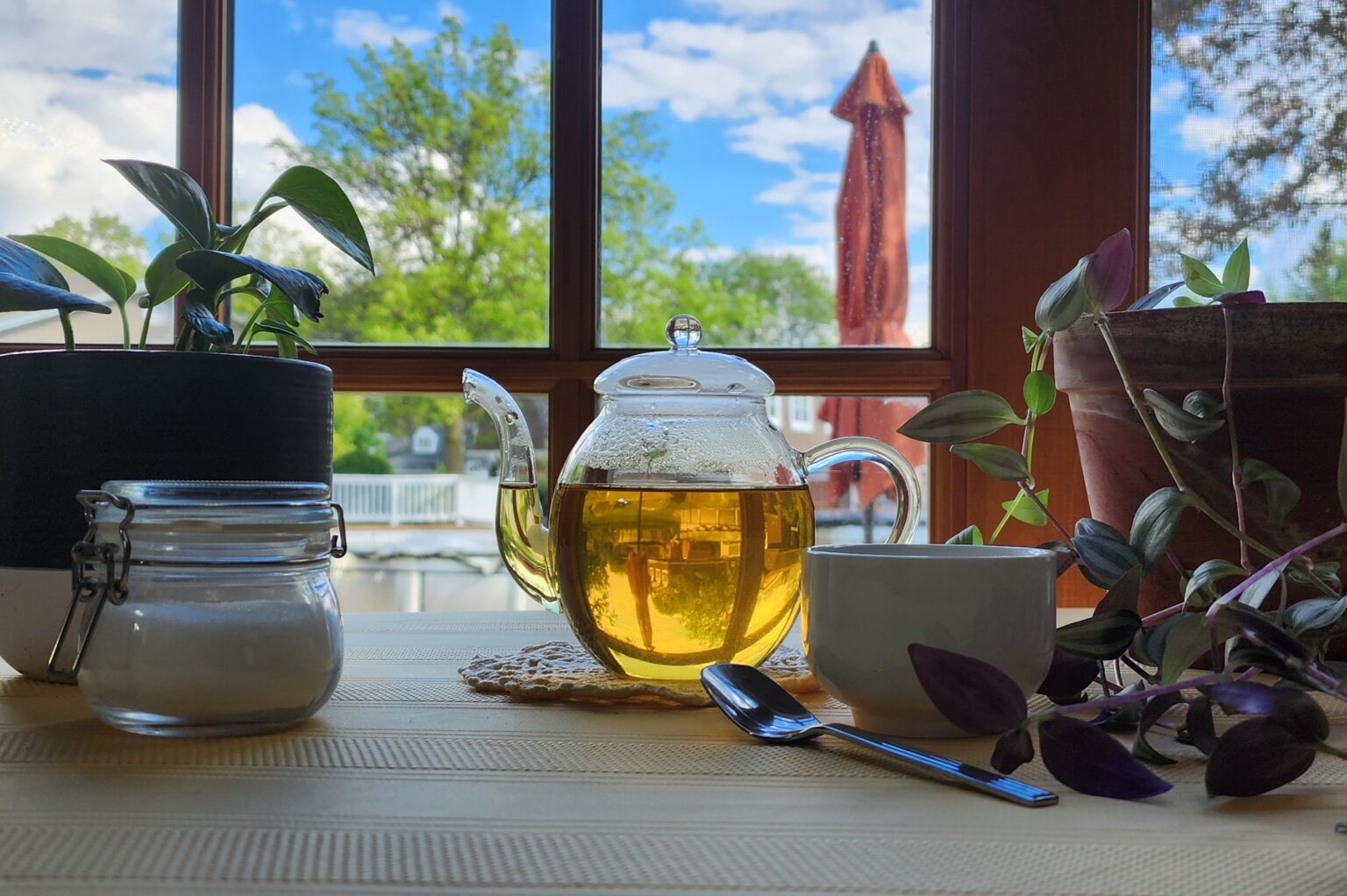 Aurora Mist - The Communi-Tea